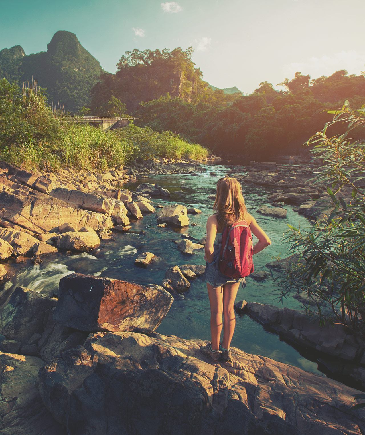 Multana Safaris | Work full width