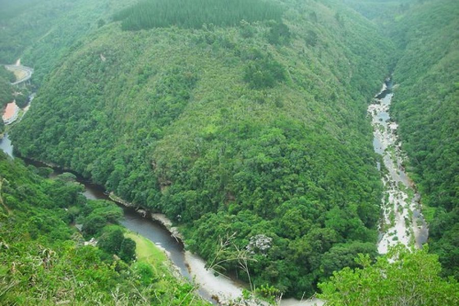 Multana Safaris | Farm